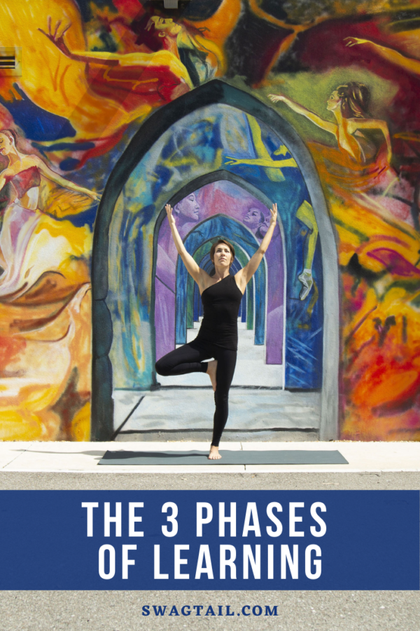 THE THREE PHASES OF LEARNING - Swagtail